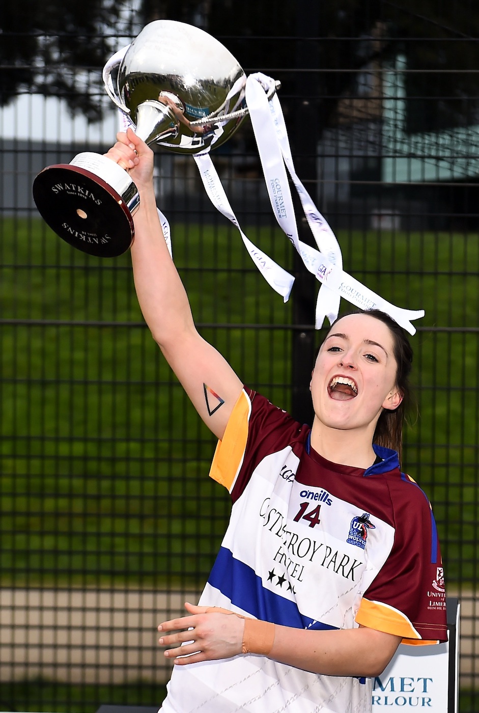 UL Wolves Clubs & Societies